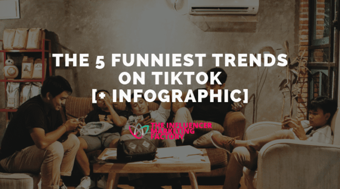 The 5 Funniest Trends On TikTok [+ INFOGRAPHIC] - Influencer Marketing ...